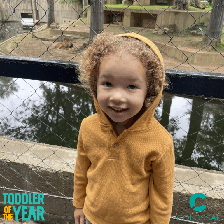 The Toddler of the Year Dominik Gergely - The Hollywood Christmas Parade